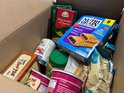 Home - Sunshine Division